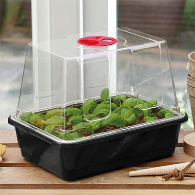 Miniväxthus - minidrivhus för odling inomhus | Wexthuset